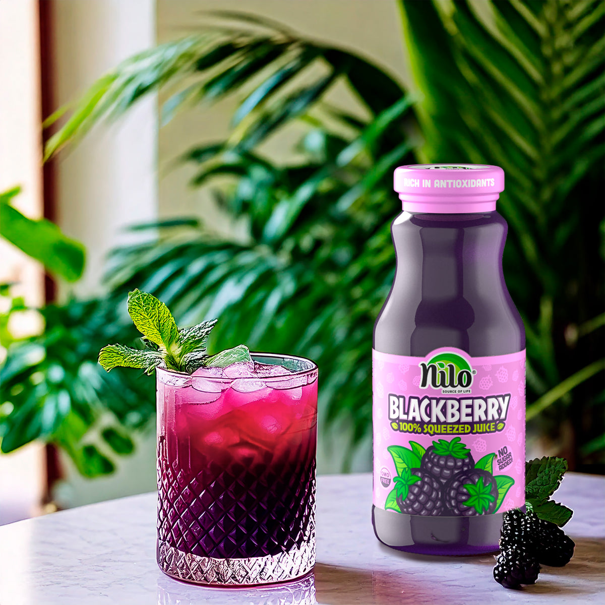 Nilo® Blackberry Juice I 100% Squeezed Juice – NILO